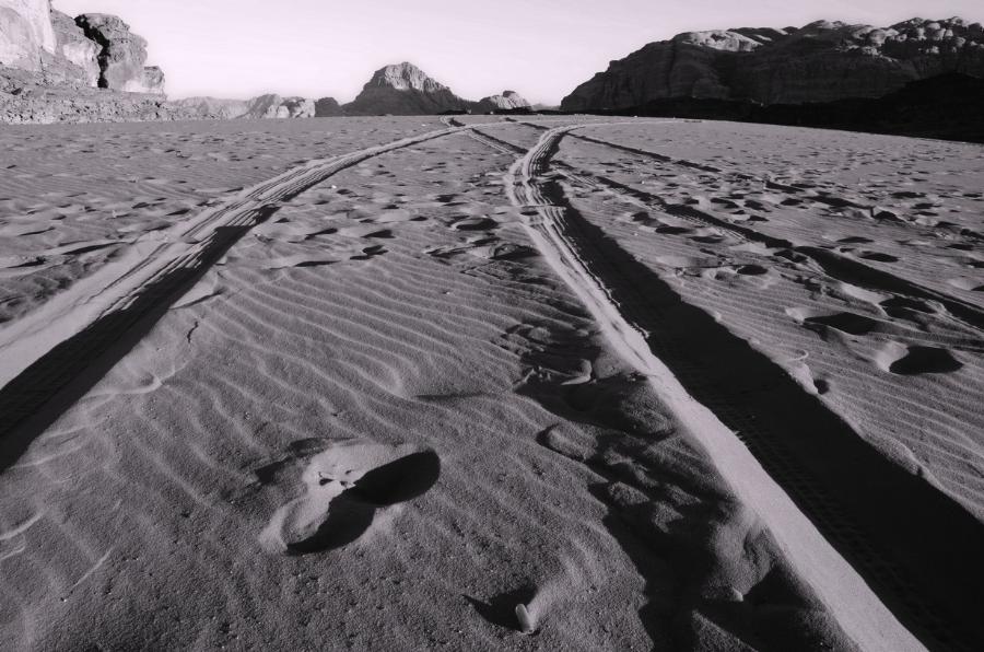 2019 Finalists Gallery